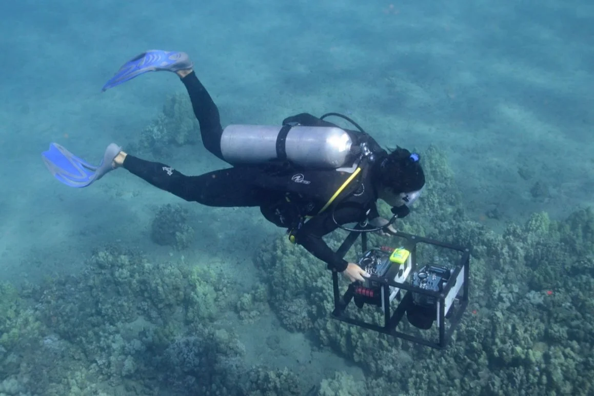 Revolutionizing Marine Conservation with Photogrammetry | Nature Tech Collective